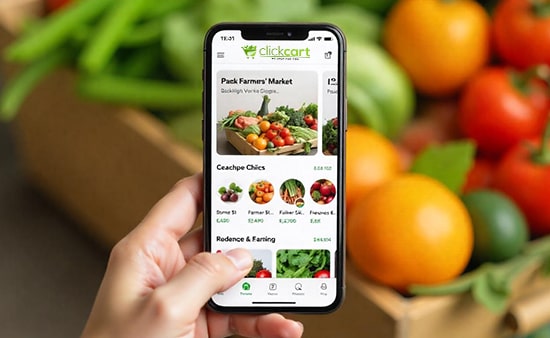 Instant Grocery Delivery Application